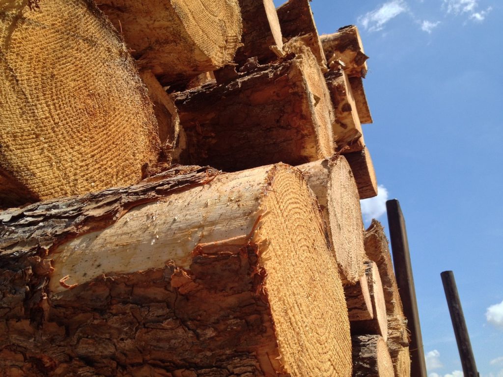 Anything you want to know about Timber Wholesale Sydney
